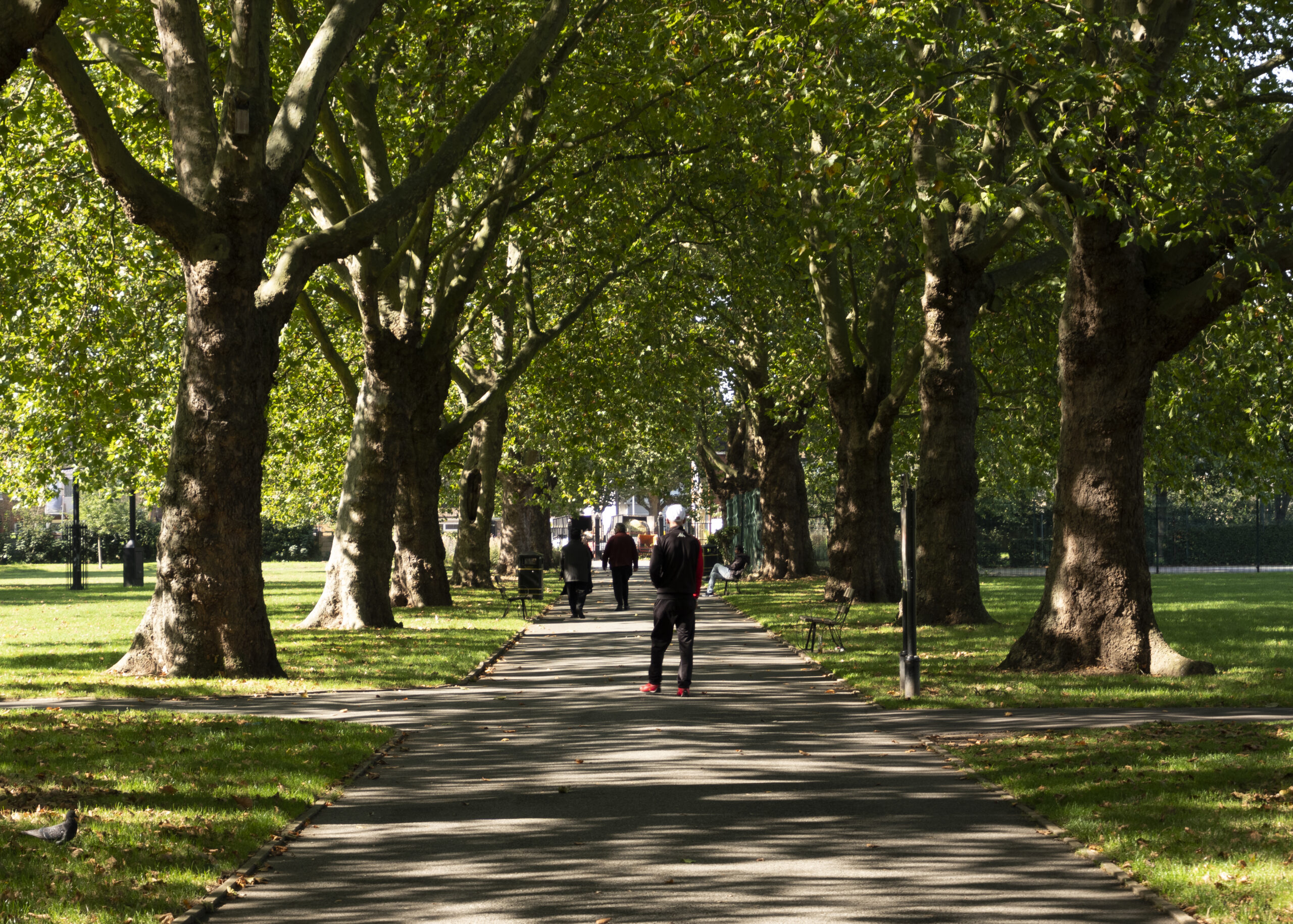 Plashet Park